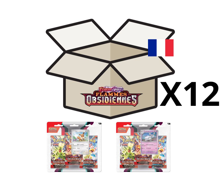 Pack de 12 Tripacks EV03 Flammes Obsidiennes Version française ...